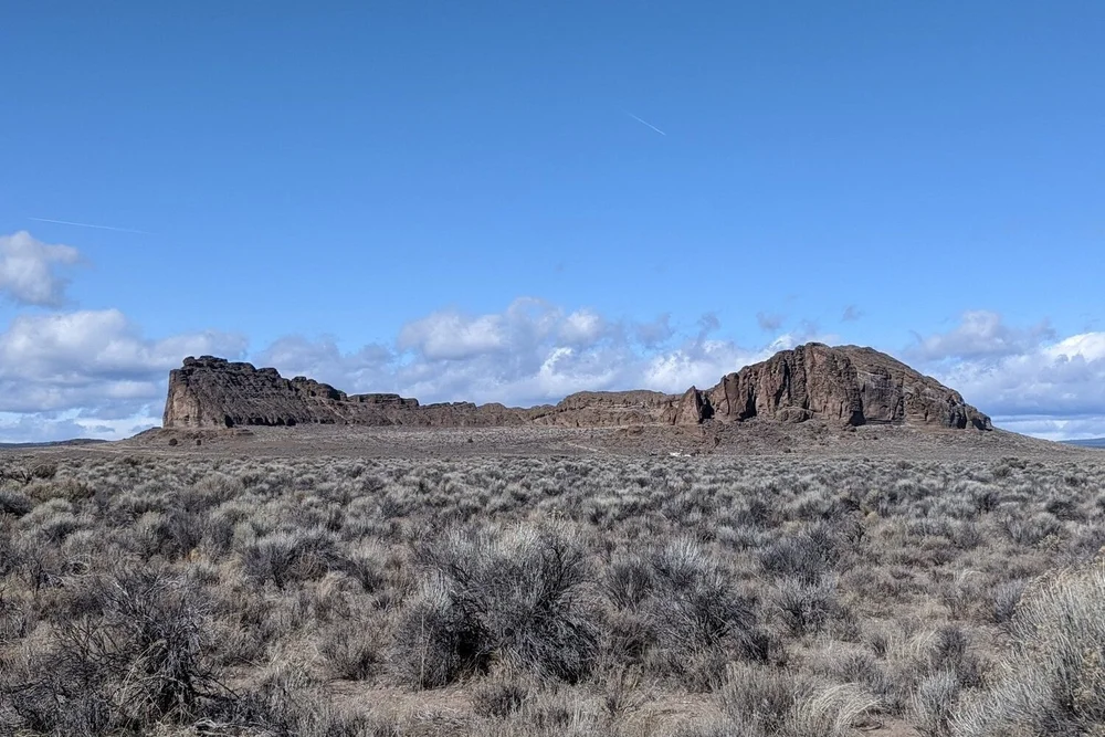 Oregon Outback & Cowboy Dinner Tree - Wanderlust Tours