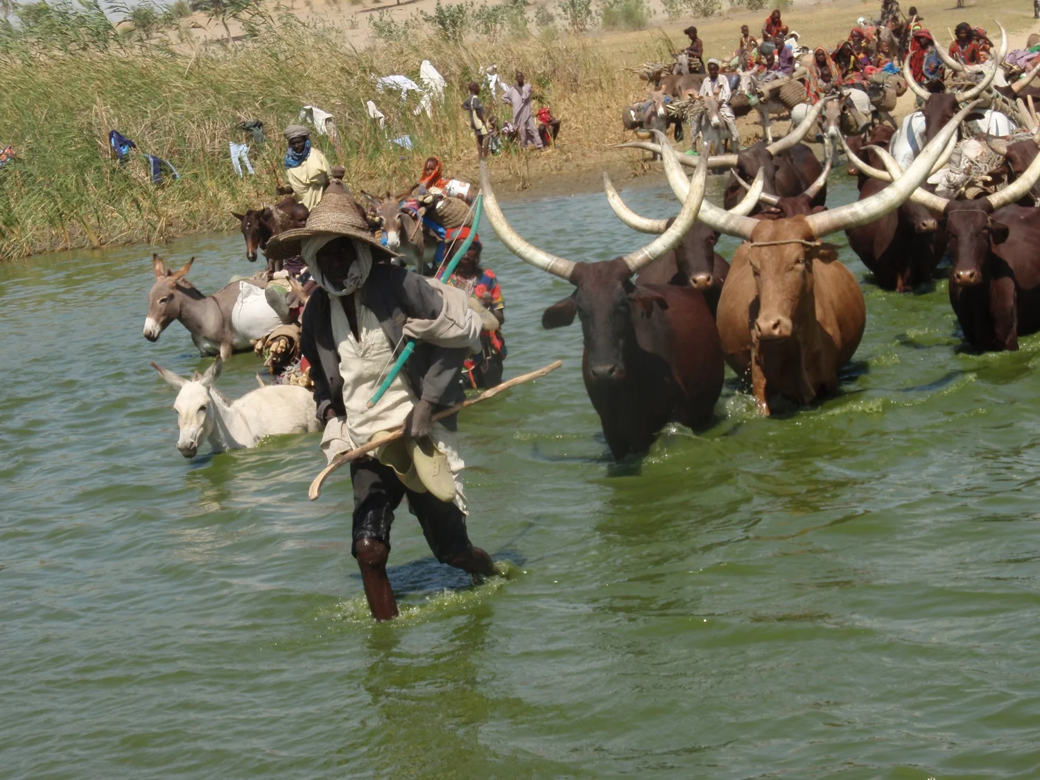 INTERNATIONAL INDIGENOUS PEOPLE'S FORUM ON CLIMATE CHANGE