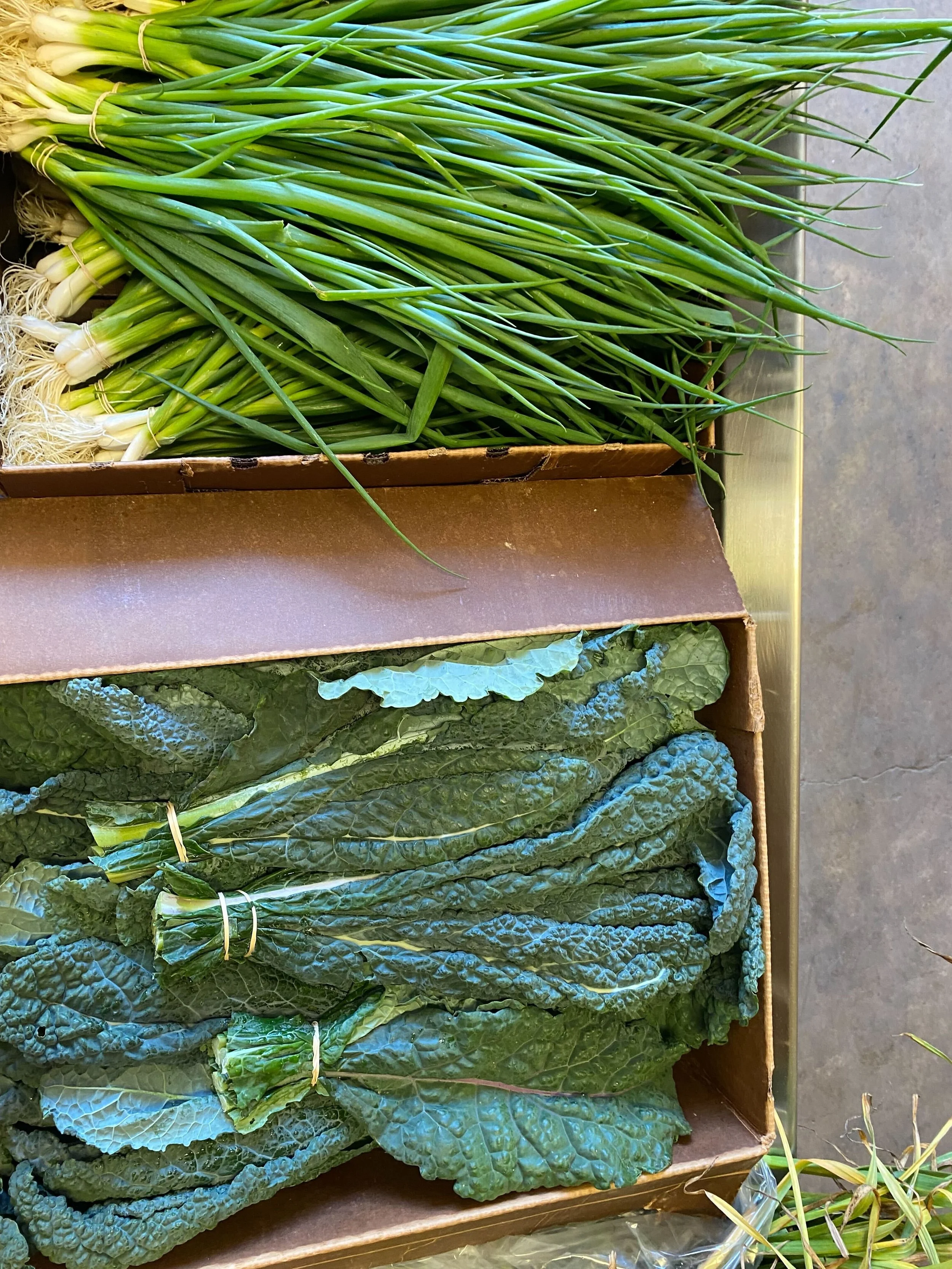 ACORN Food Hub — ACORN