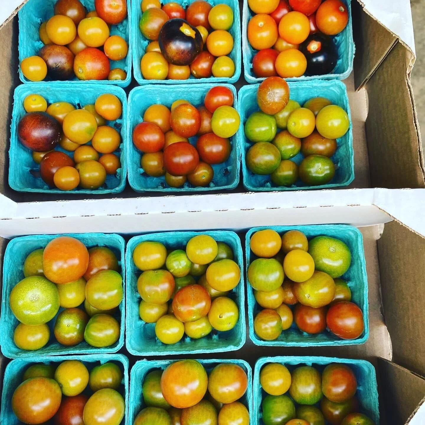 Farmacy Food is Medicine Health Care Shares — ACORN