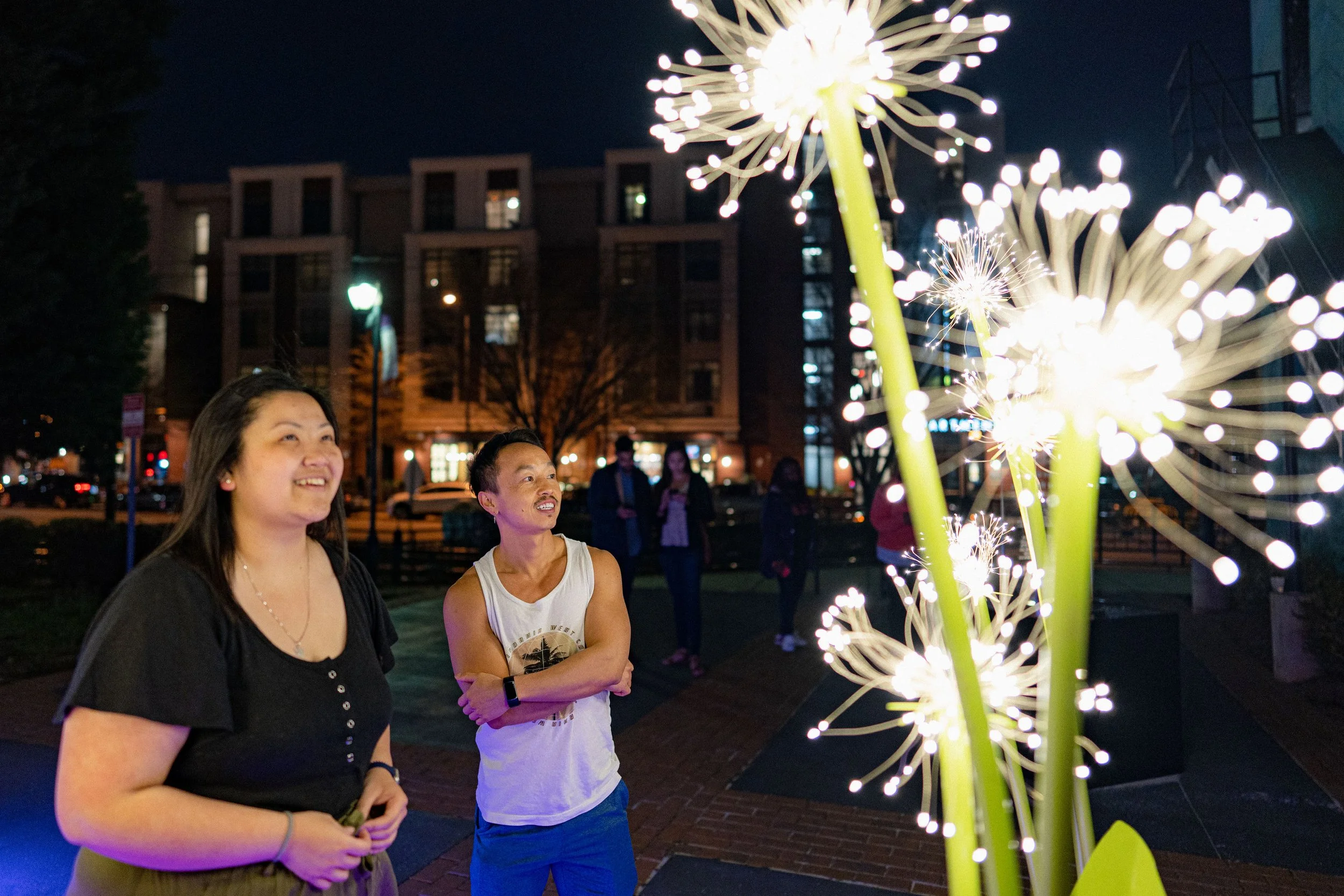 Rail Trail Lights — Charlotte Rail Trail
