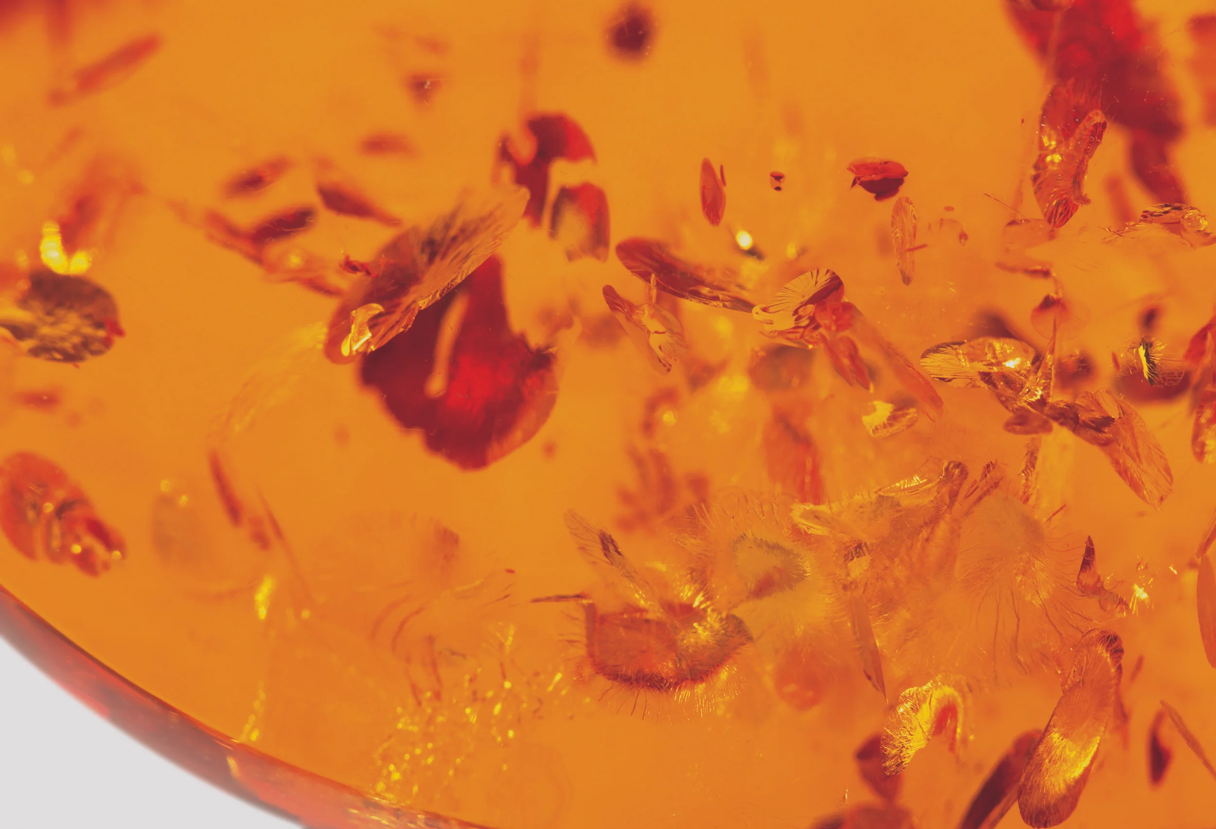 Closed Sunday January 15 Fumerie Parfumerie closed-sunday-january-15-fumerie-parfumerie