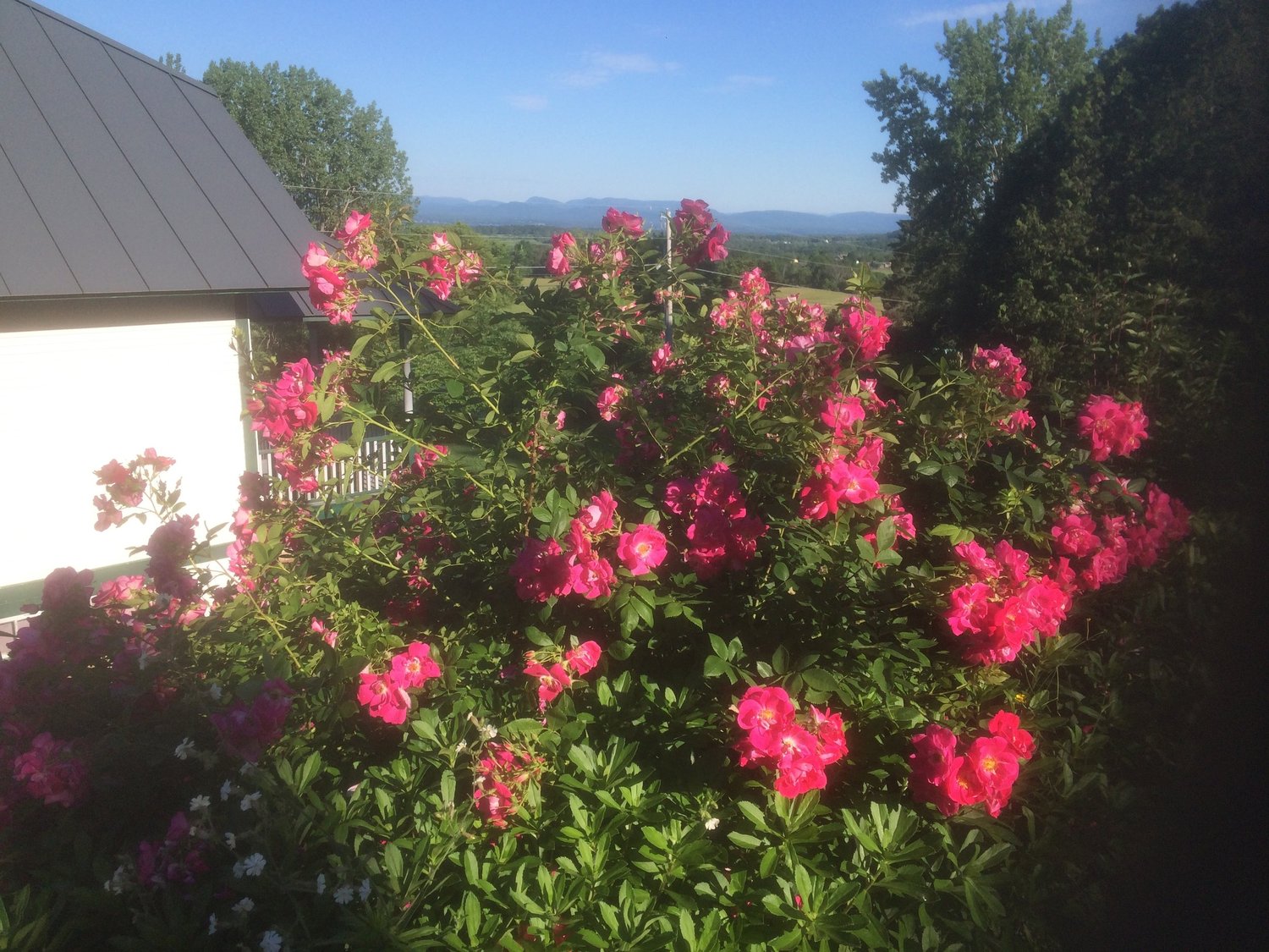 beautiful summer photos of the Charlotte, Vermont area — Mt. Philo Inn