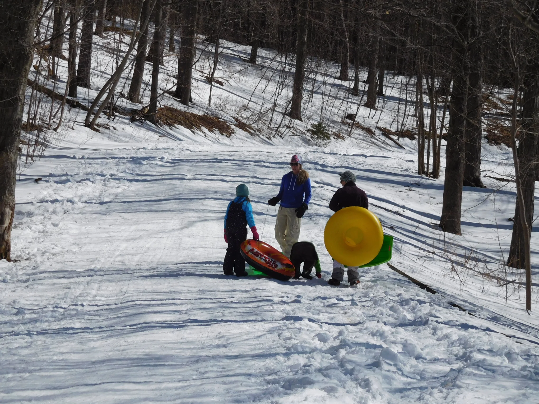 Collection of our best winter photos of the Mt. Philo area — Mt. Philo Inn