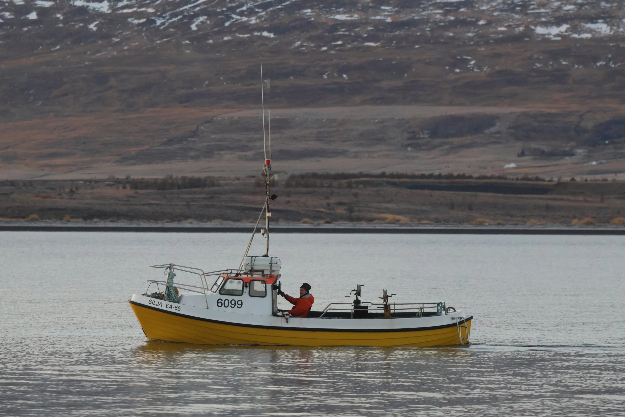 Sunday, 26 November 2023 — Whale Watching Akureyri
