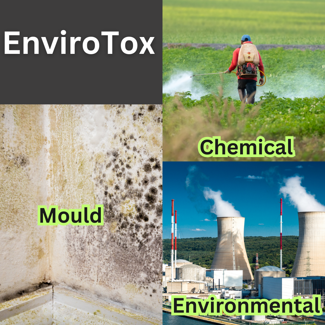 Comprehensive Environmental Toxins Test | Detect Mould, Chemicals, and ...