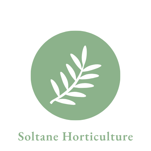 Social Enterprises — Camphill Soltane