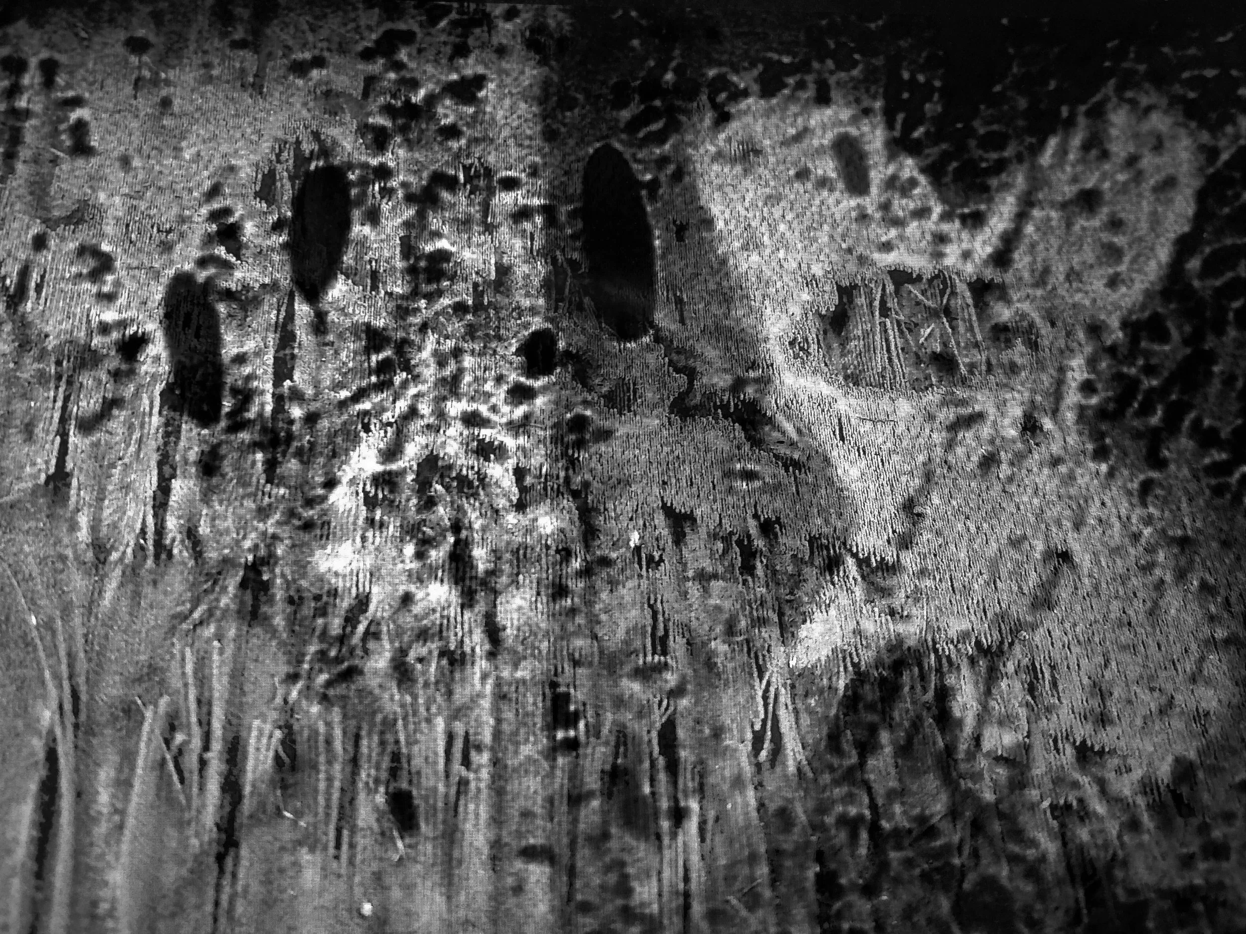 Every Contact Leaves a Trace — Jenny Zigzag