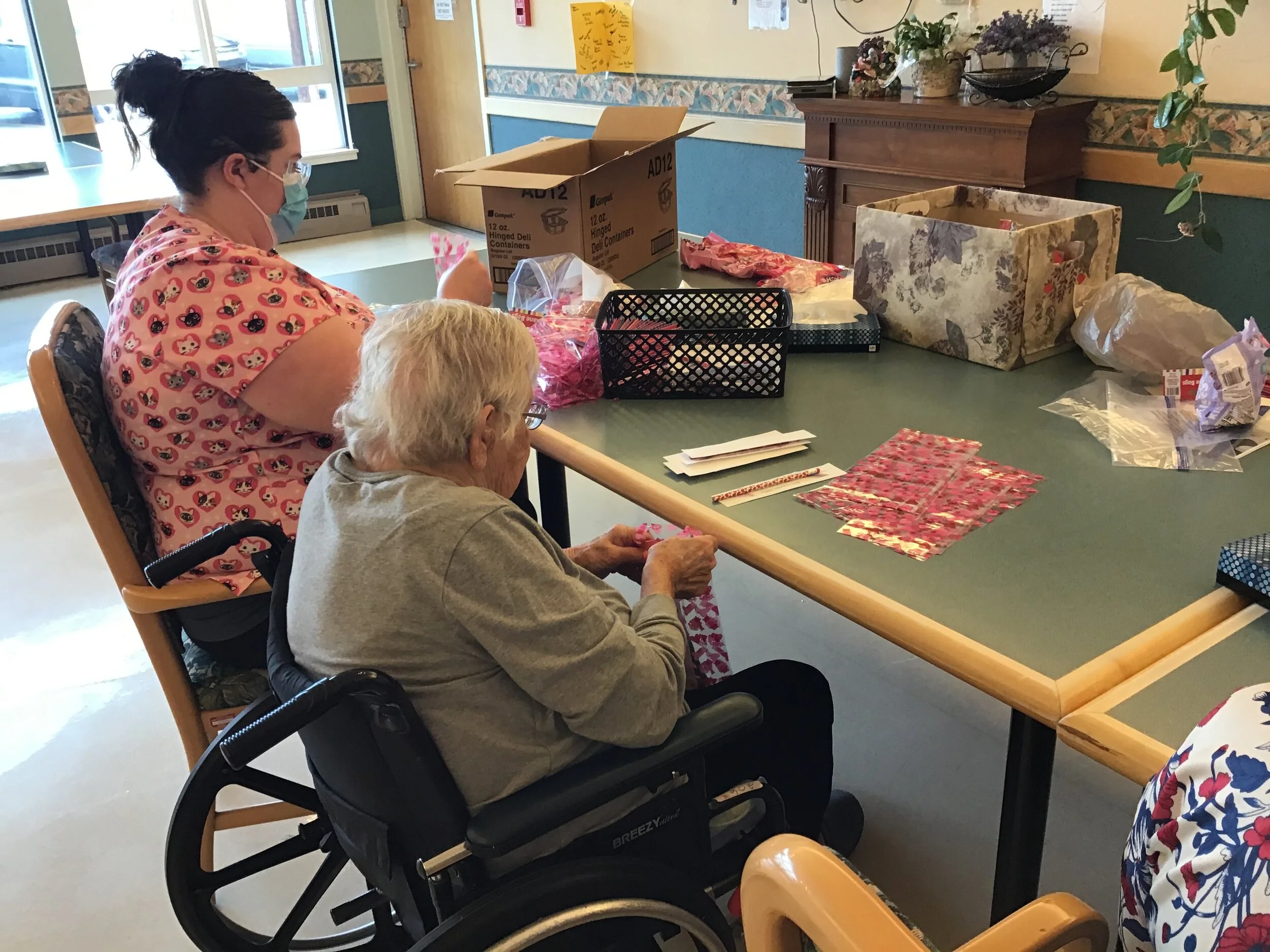 EXTENDED CARE — North Valley Hospital