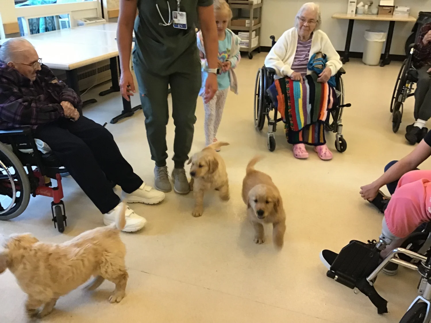 Employee Network Landing Page — North Valley Hospital