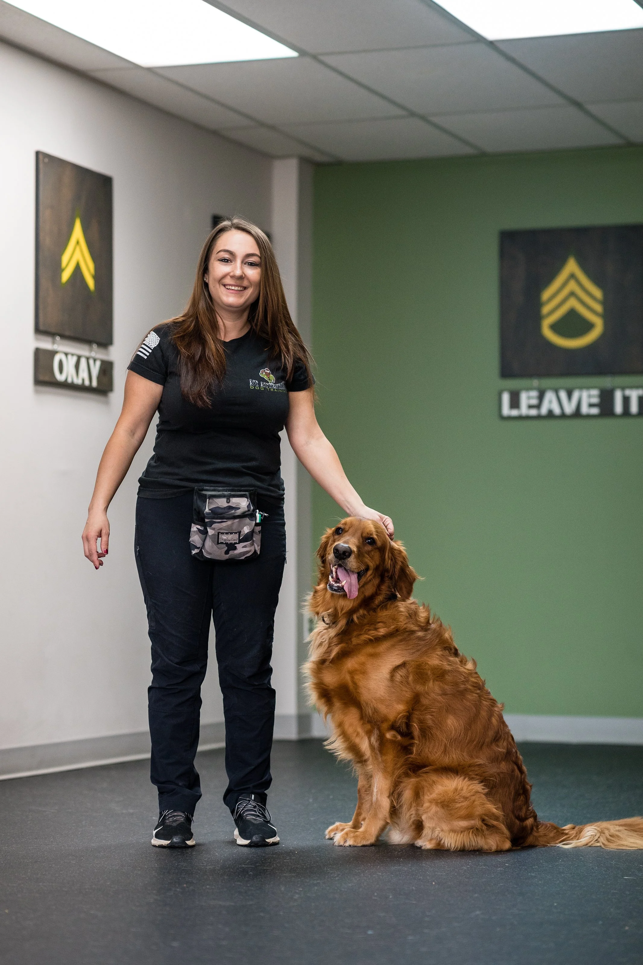Training and Services — At Attention Dog Training