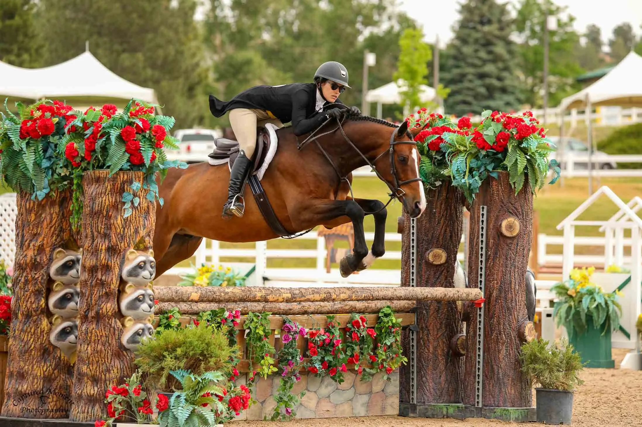 Front Range Show Stables