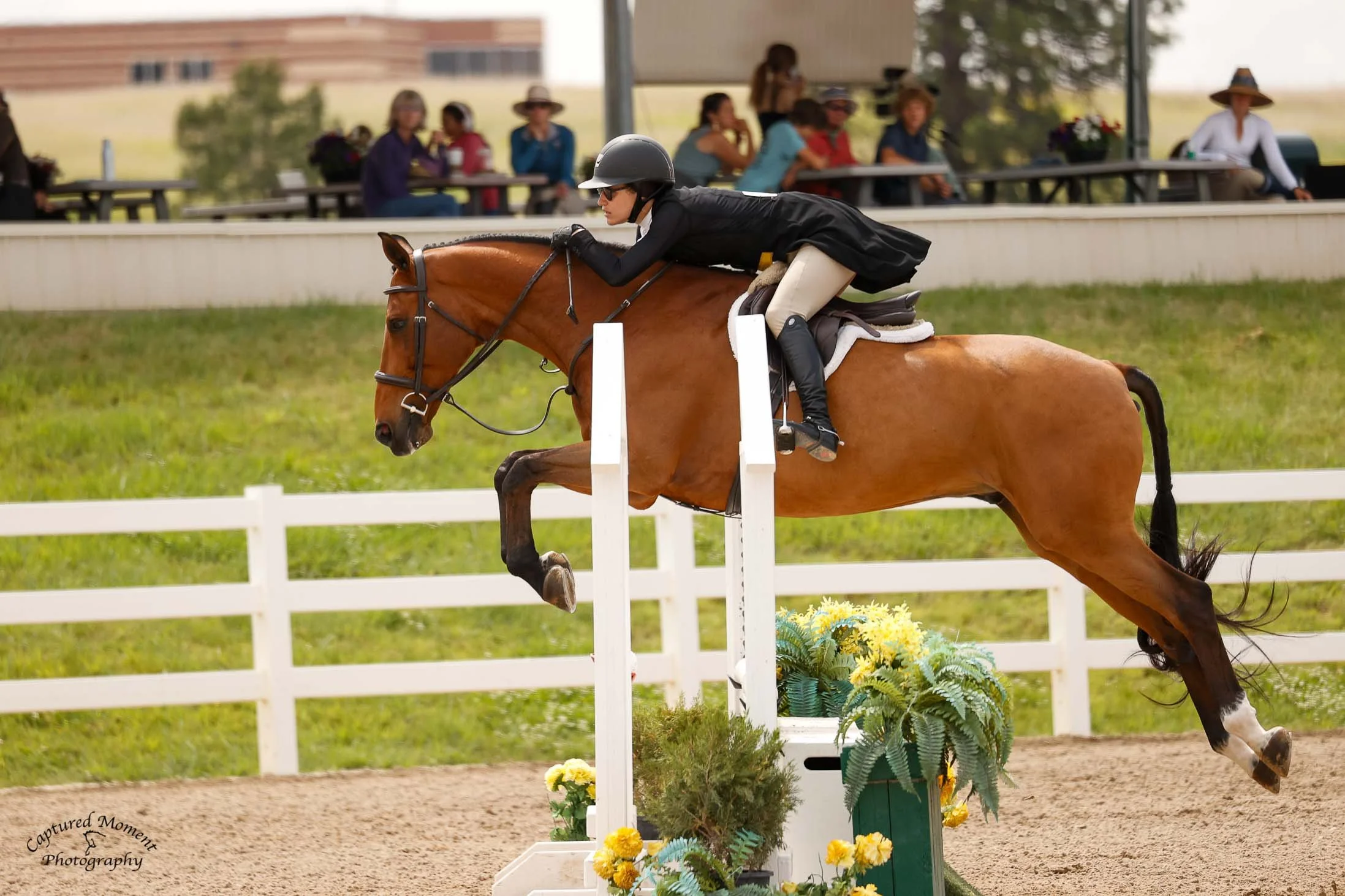 About — Front Range Show Stables