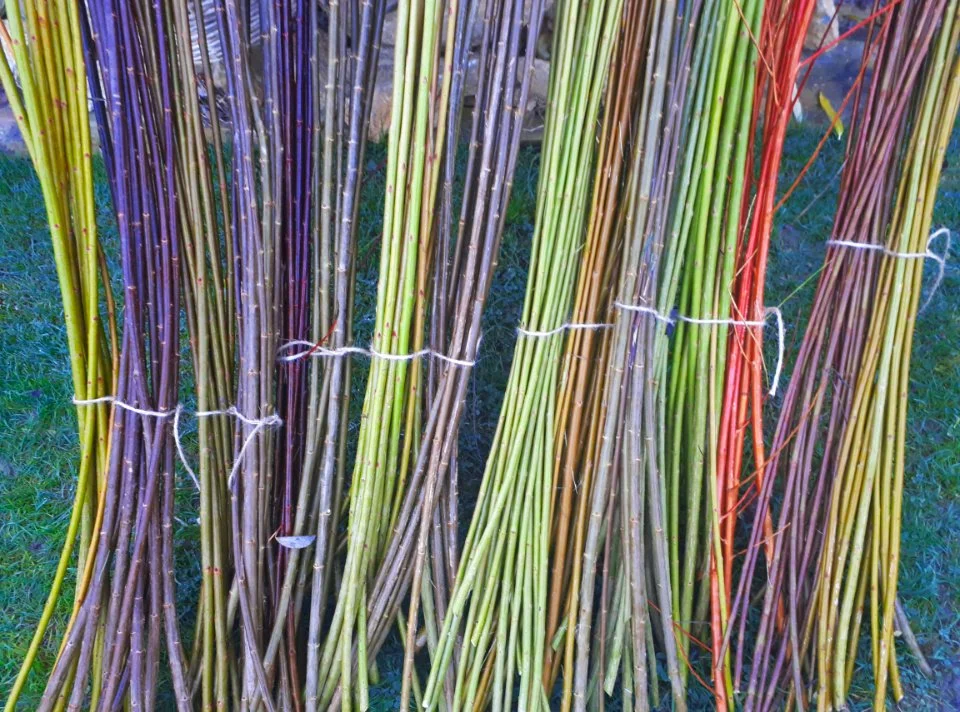 Withysmythe Willow — Cradle To Grave Willow