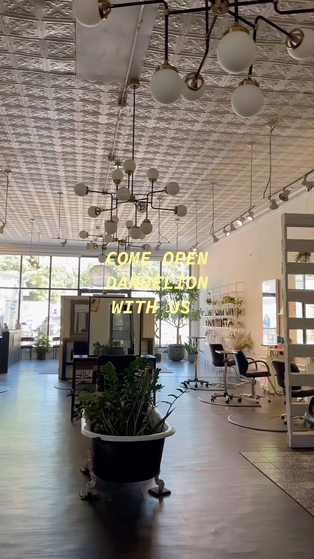 Dandelion Salon