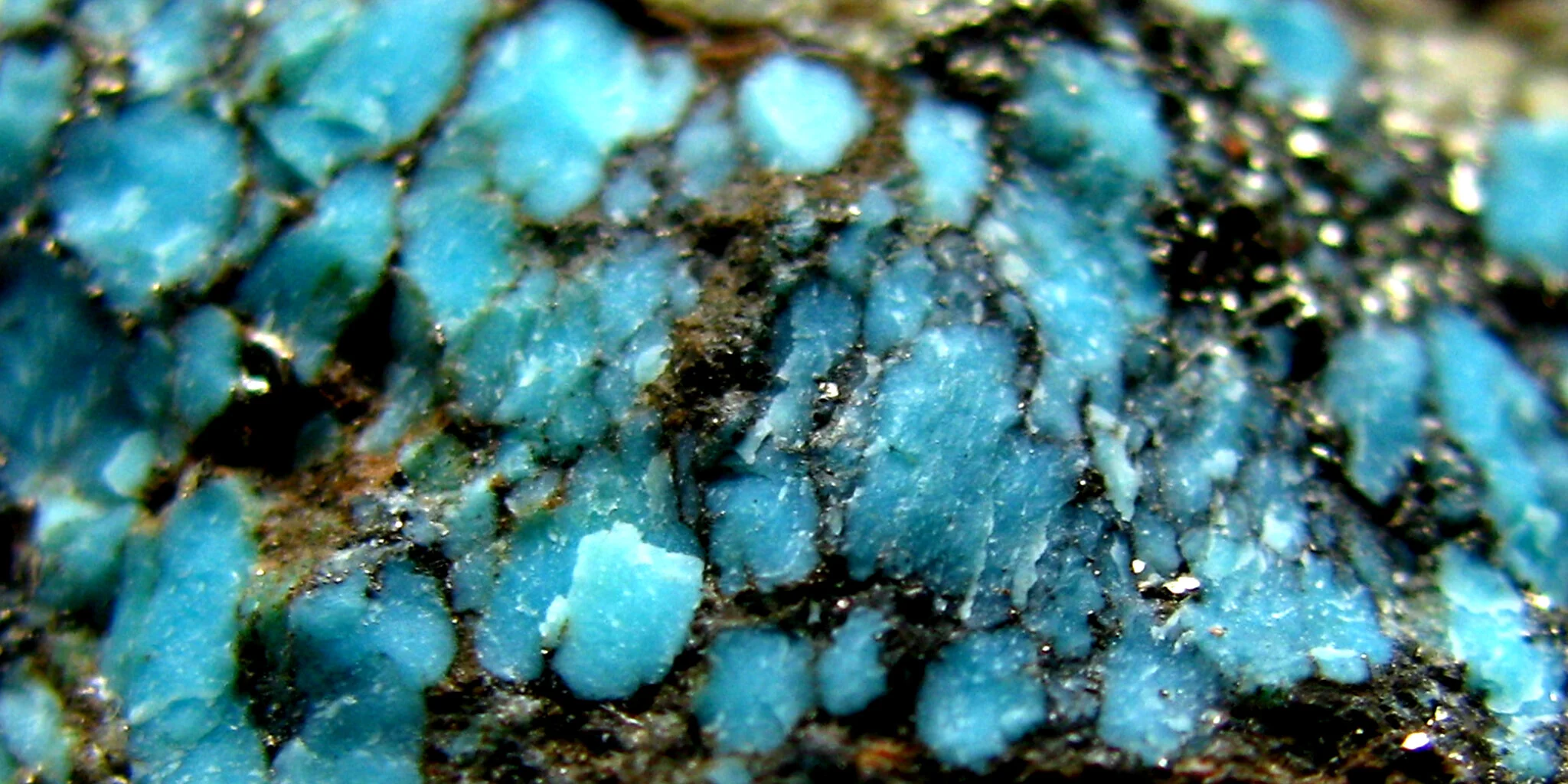 The Health Benefits Of Turquoise — LOHVE — The Wise Alternative