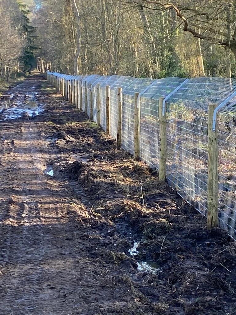Dodd & Co. Beaver fencing at Wild Ken Hill