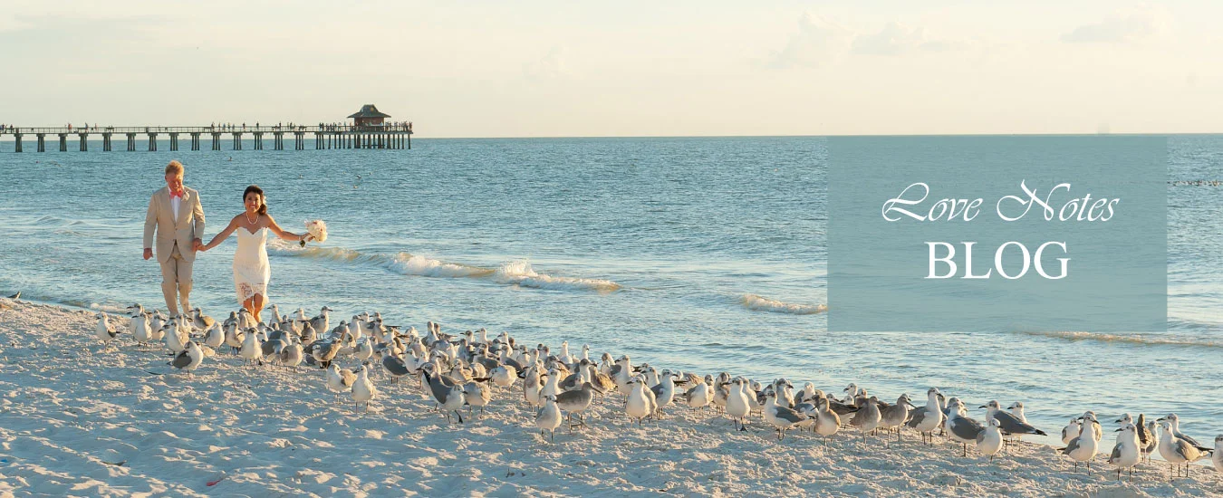 Blog — A Beautiful Florida Wedding