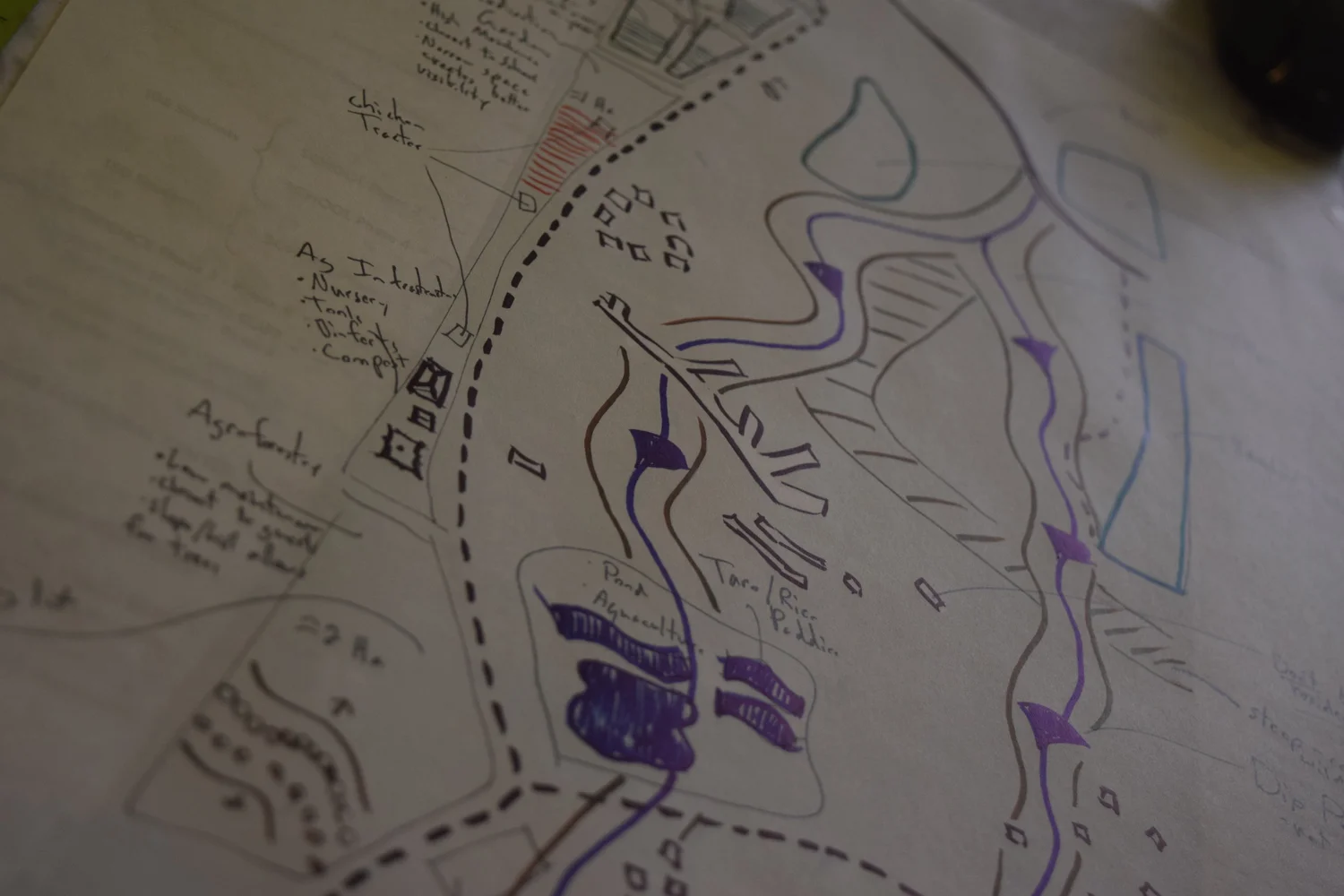 8 Tips for Starting your Tropical Homestead Rancho Mastatal