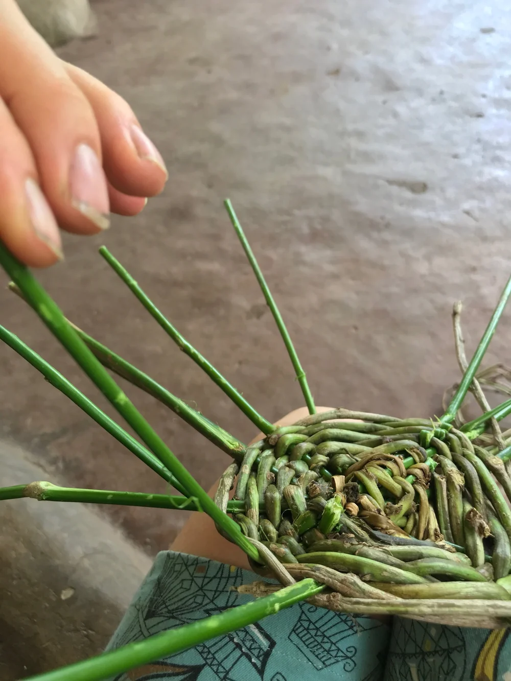 How to Make a Simple Woven Basket Rancho Mastatal