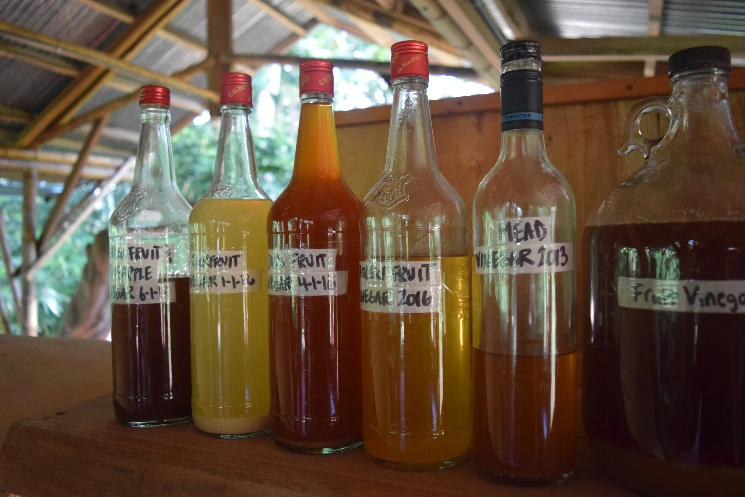 Jungle Apothecary: Lemon Balm and Holy Basil Rancho Mastatal