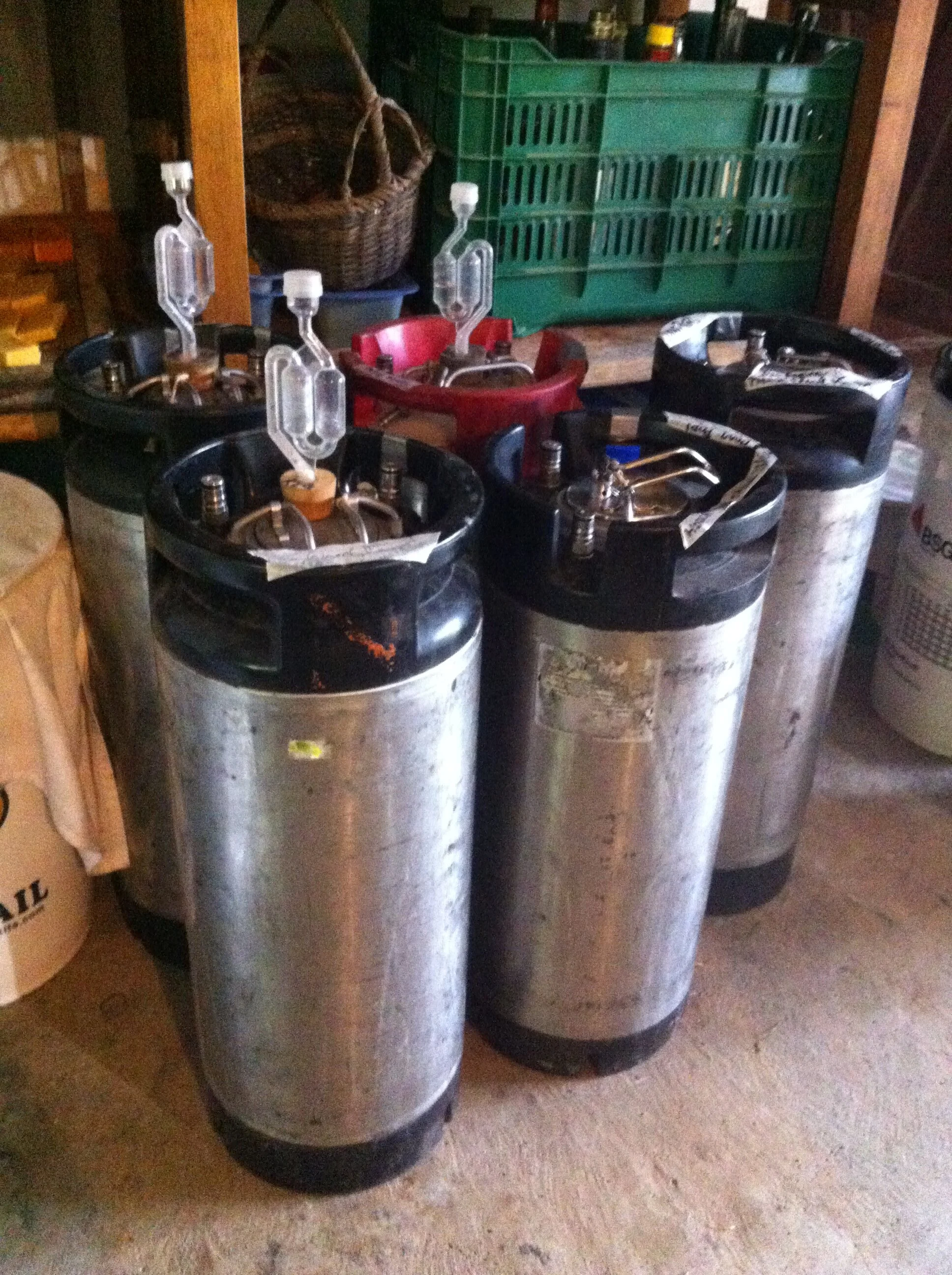 Harnessing Wild Yeast: How to make your own Fruit Alcohol (Hooch ...