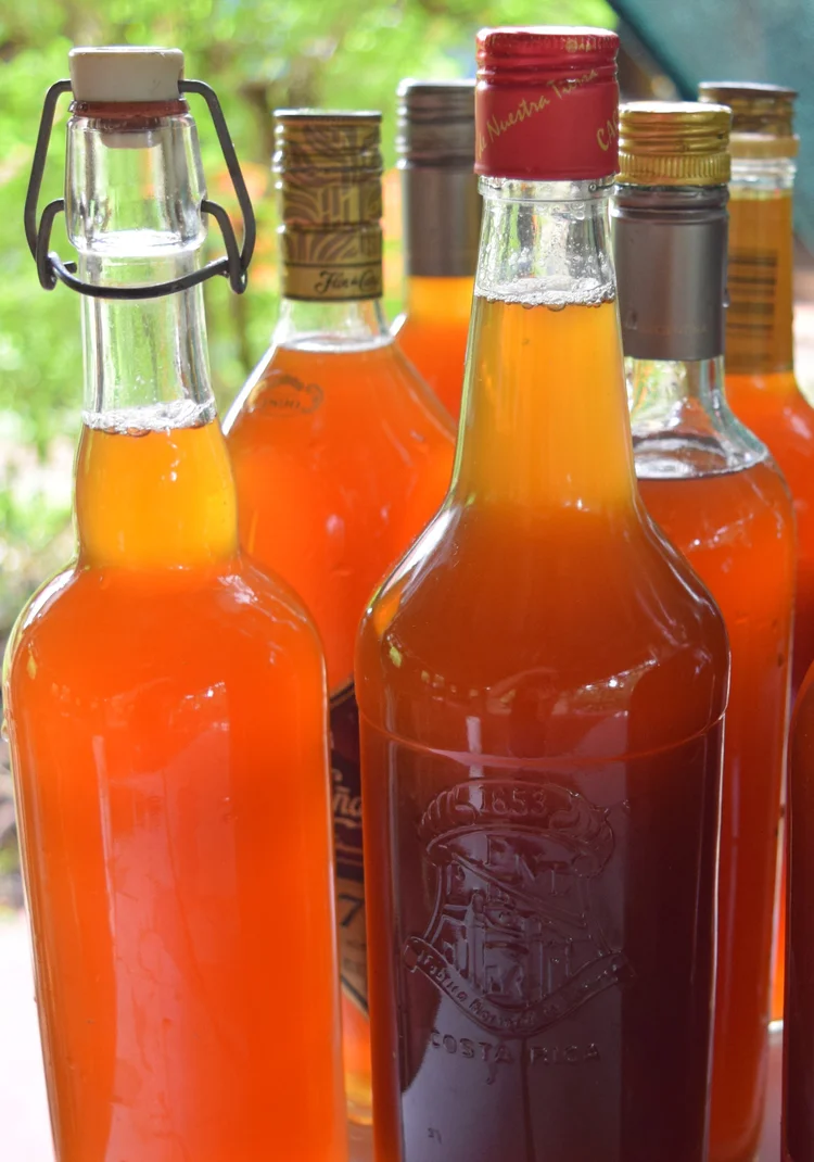 Harnessing Wild Yeast: How to make your own Fruit Alcohol (Hooch ...