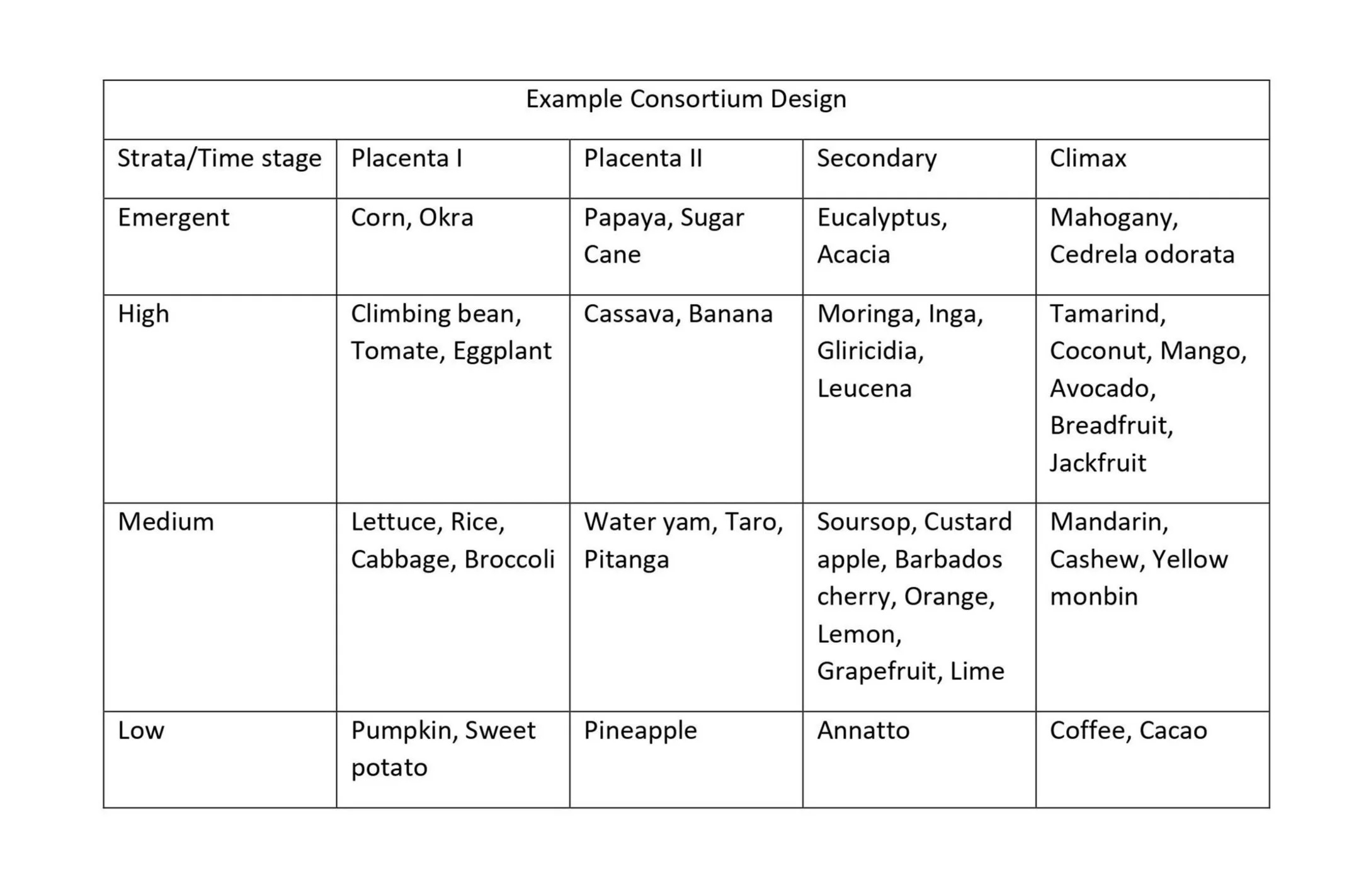 How to Optimize Your Syntropic Agroforestry Site Rancho Mastatal