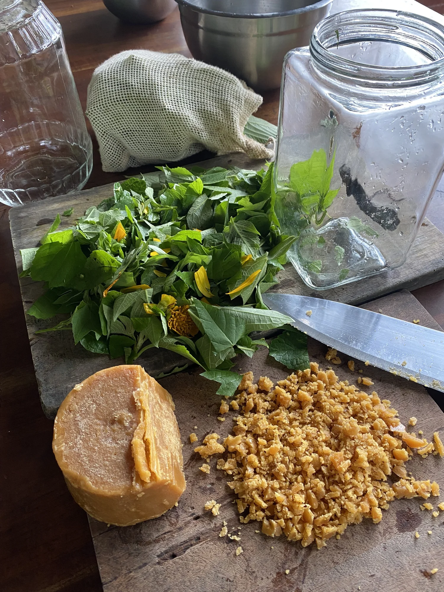 Fermented Plant Juice (FPJ) and Its Application Rancho Mastatal