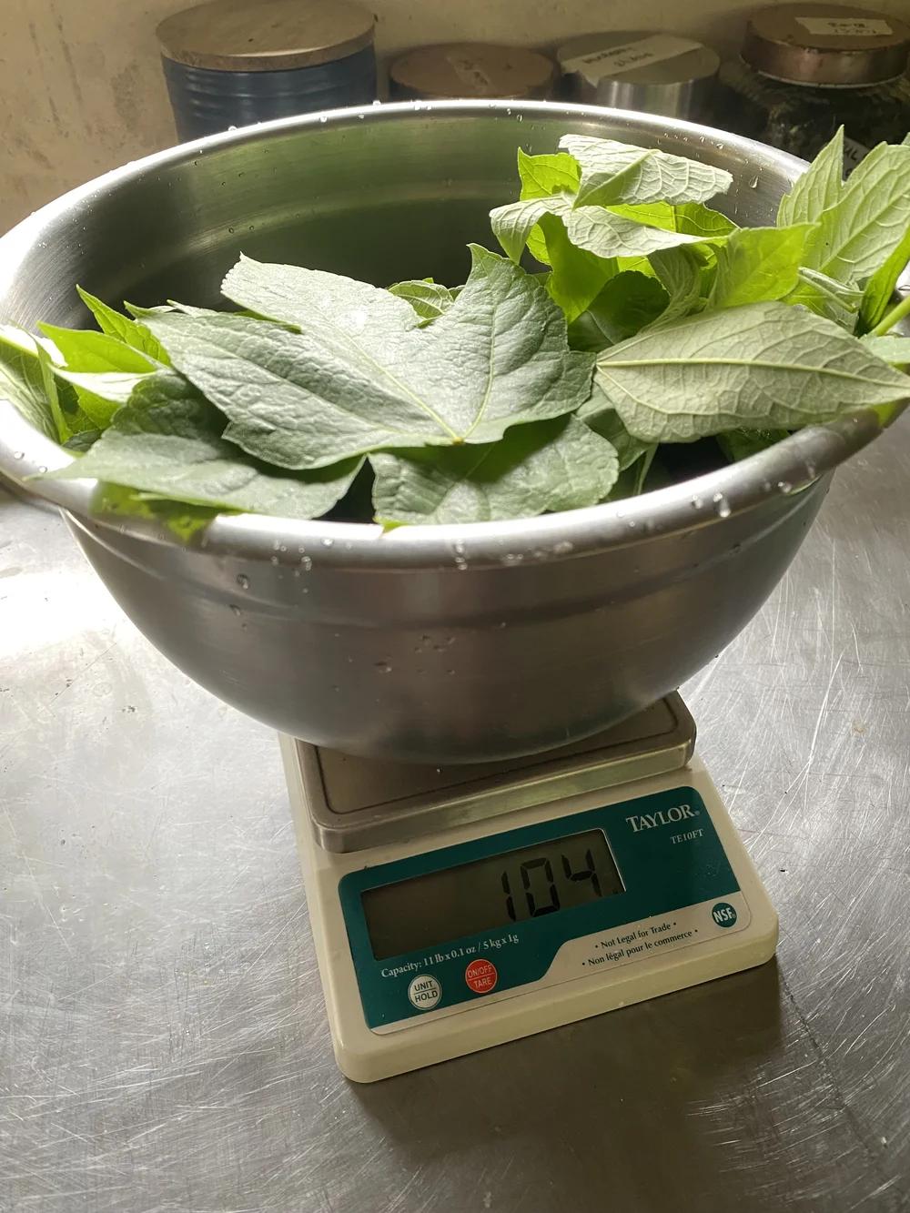 Fermented Plant Juice (FPJ) and Its Application Rancho Mastatal