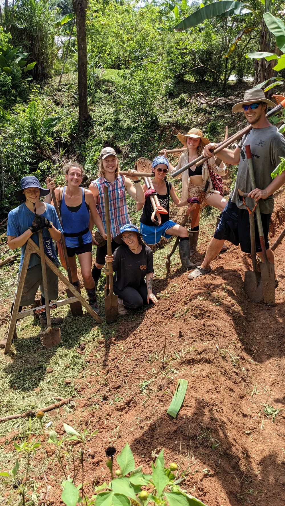 How to Optimize Your Syntropic Agroforestry Site Rancho Mastatal