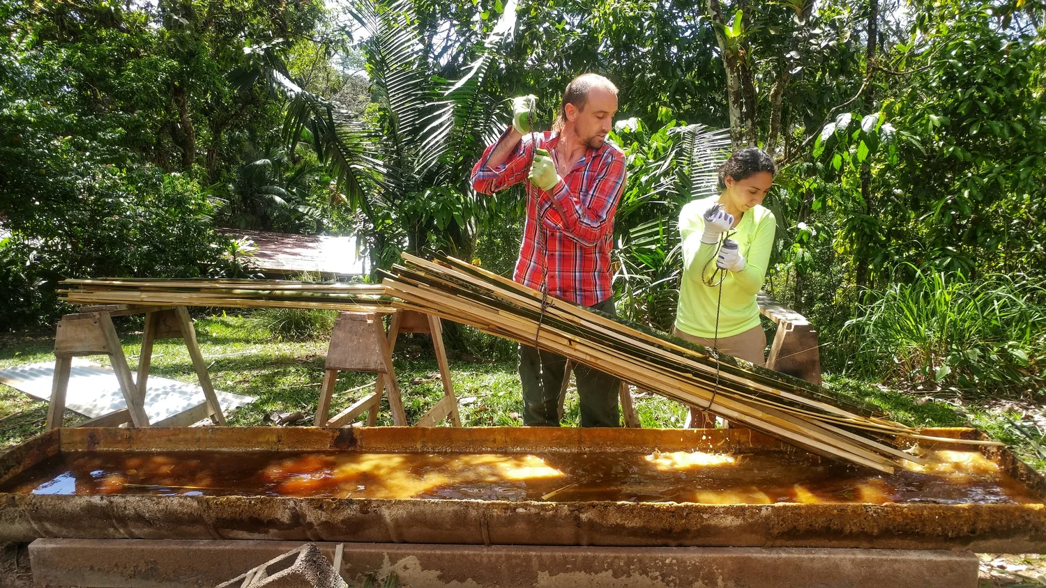 How to Build with Wattle and Daub in Timber Frame Construction: A ...