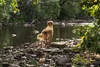 Welcome to Stephanie Bartz Photography, Wisconsin portrait artist and ...