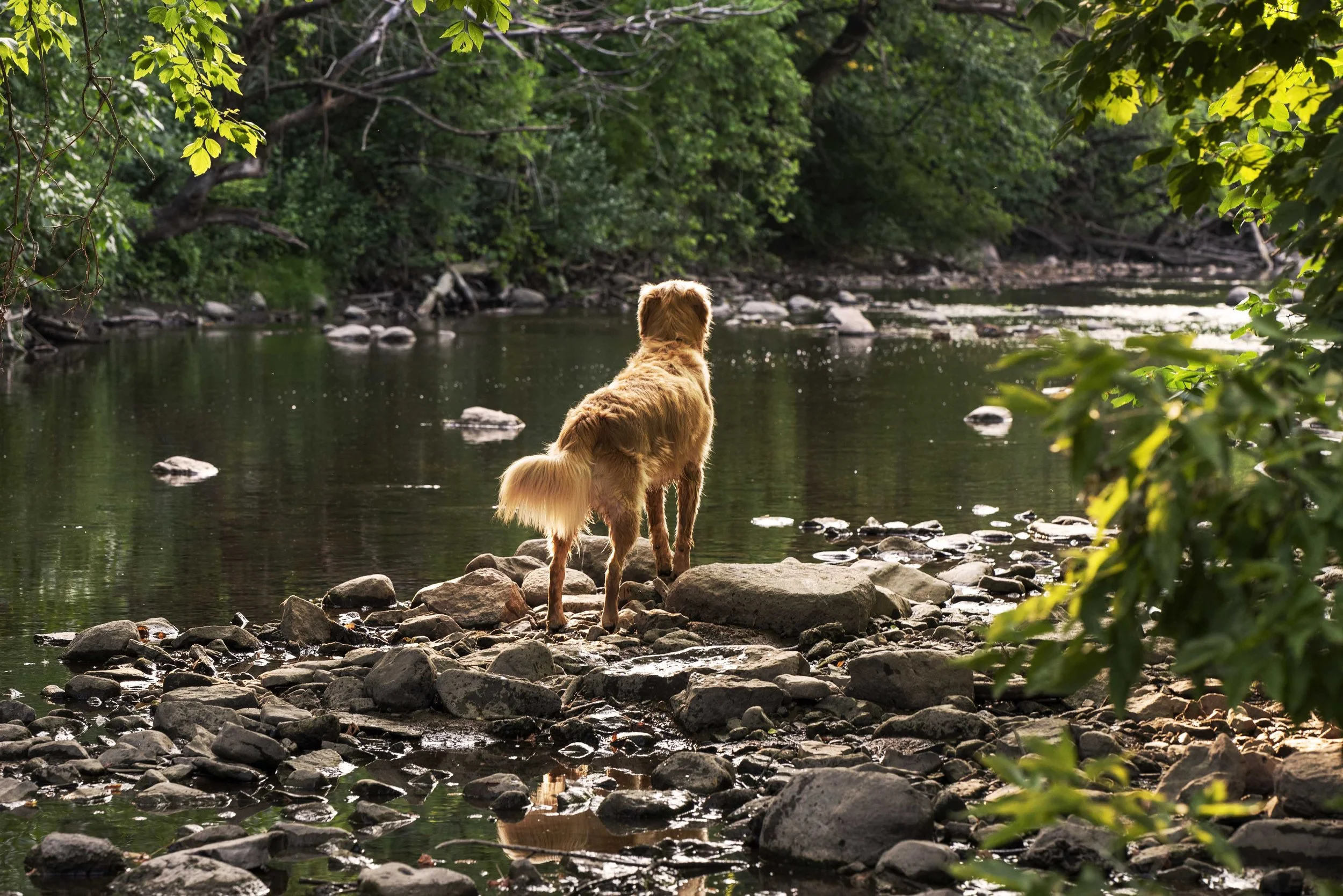 Welcome to Stephanie Bartz Photography, Wisconsin portrait artist and ...