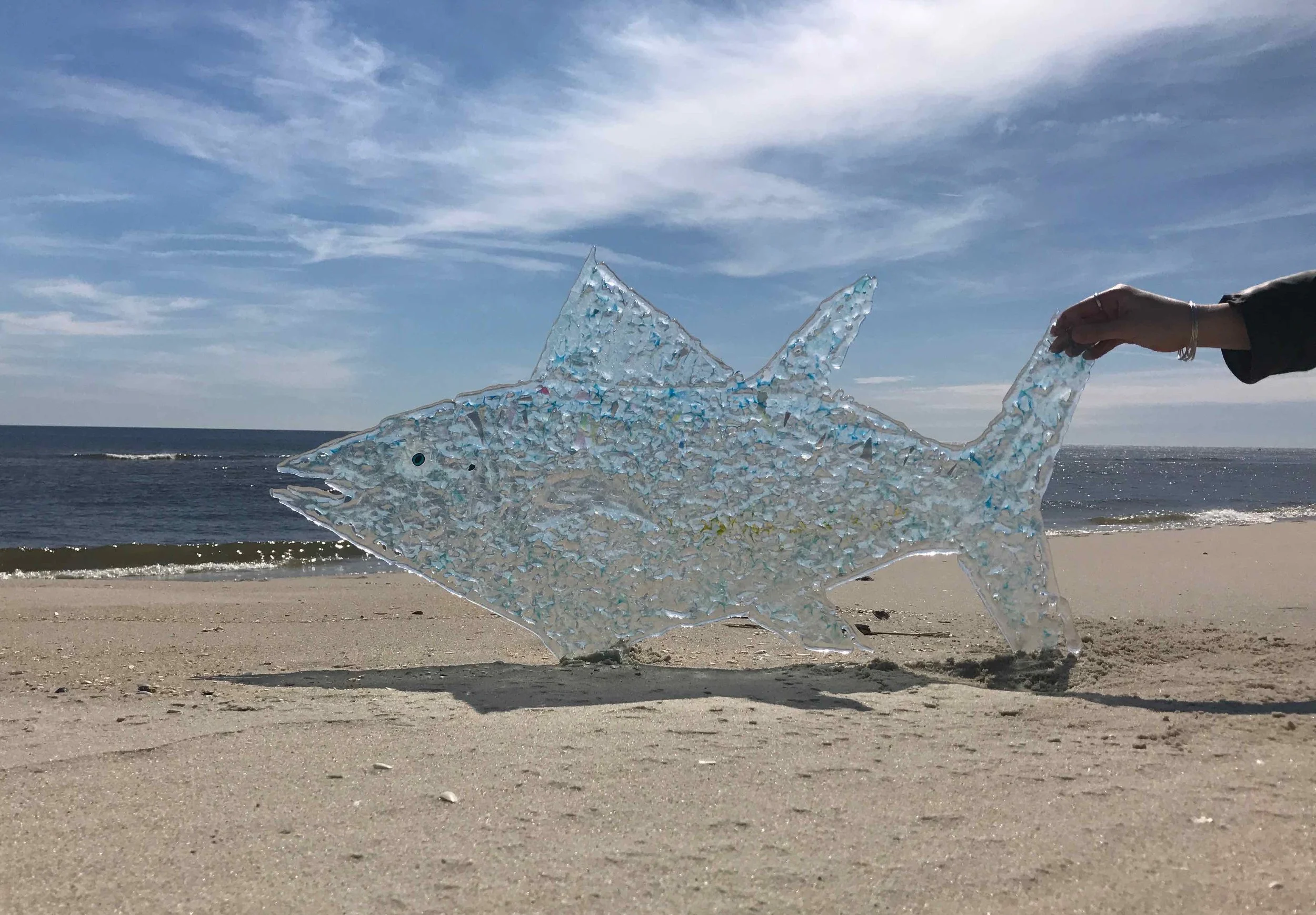 Medium Fused Glass Fish Lightcatcher - Charlie the Fish — SwellColors ...