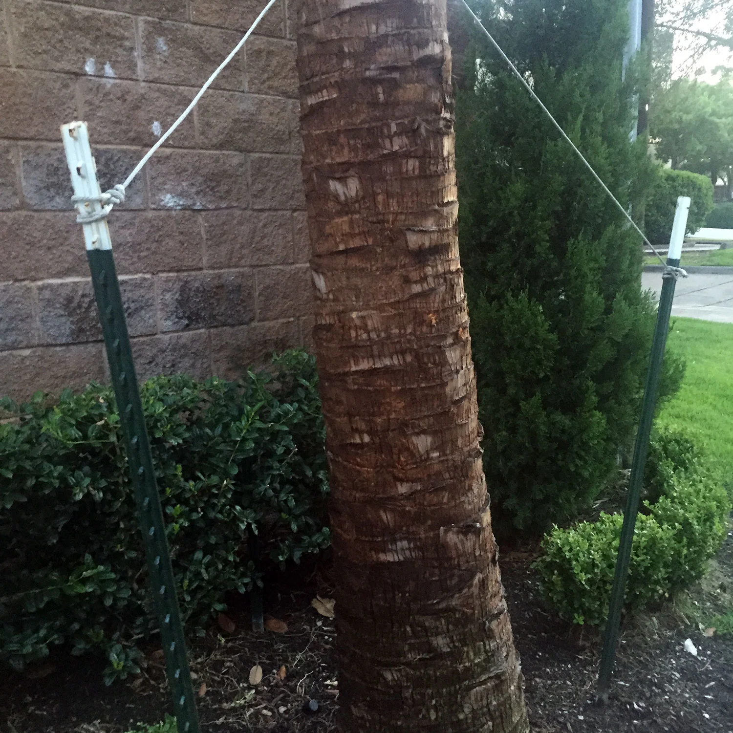 Metal Posts — CDOW Wholesale