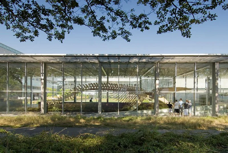 Our Projects — ETRO Construction