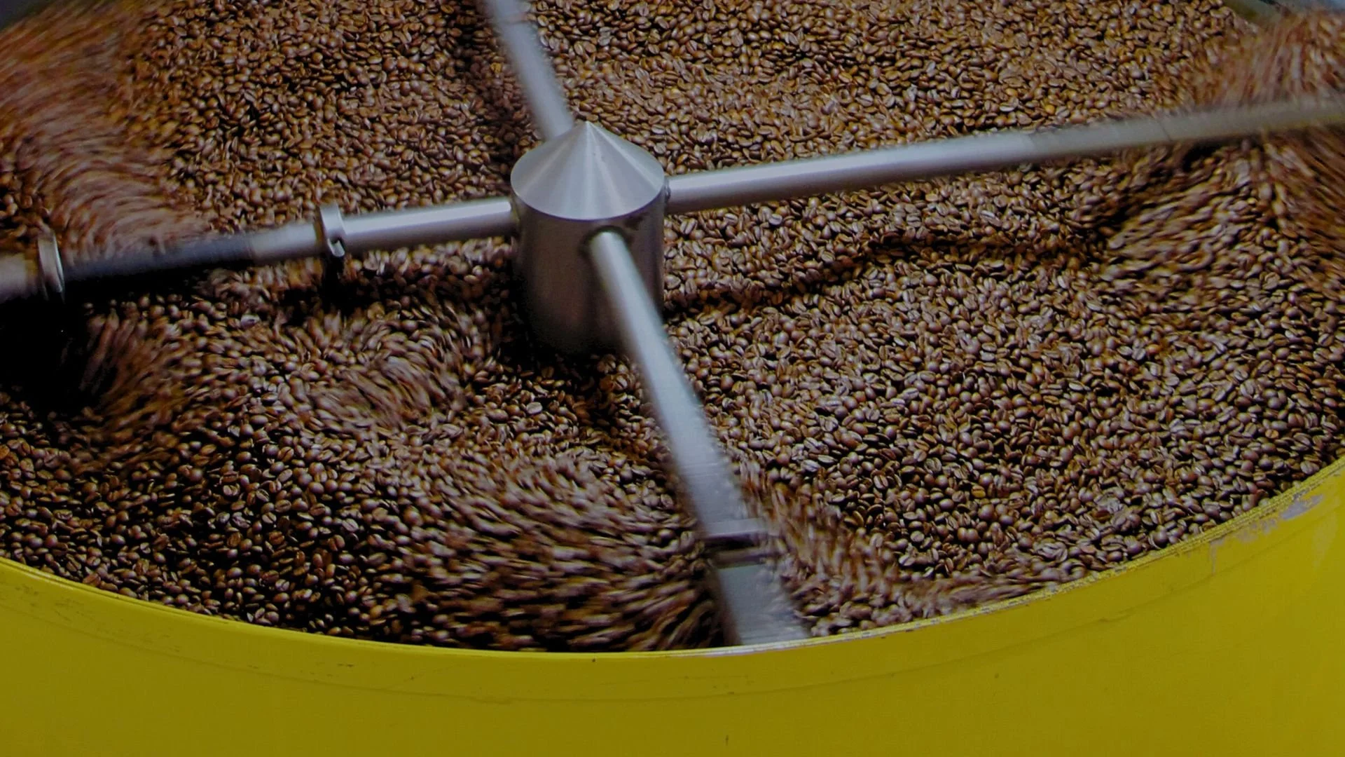 Home [fredcoffee.squarespace.com]