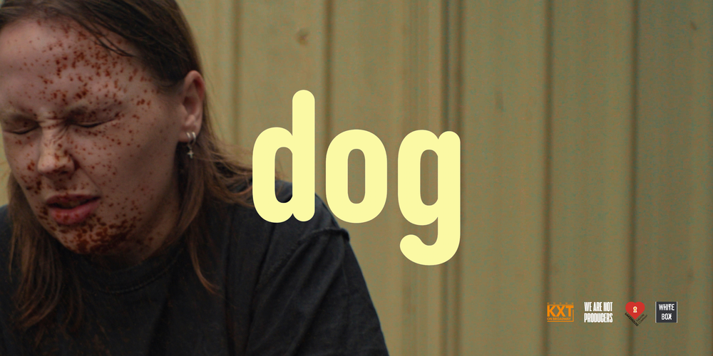 dog kxt — kxt on broadway