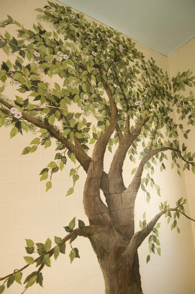 Instructors — Body Grace Fitness and Yoga