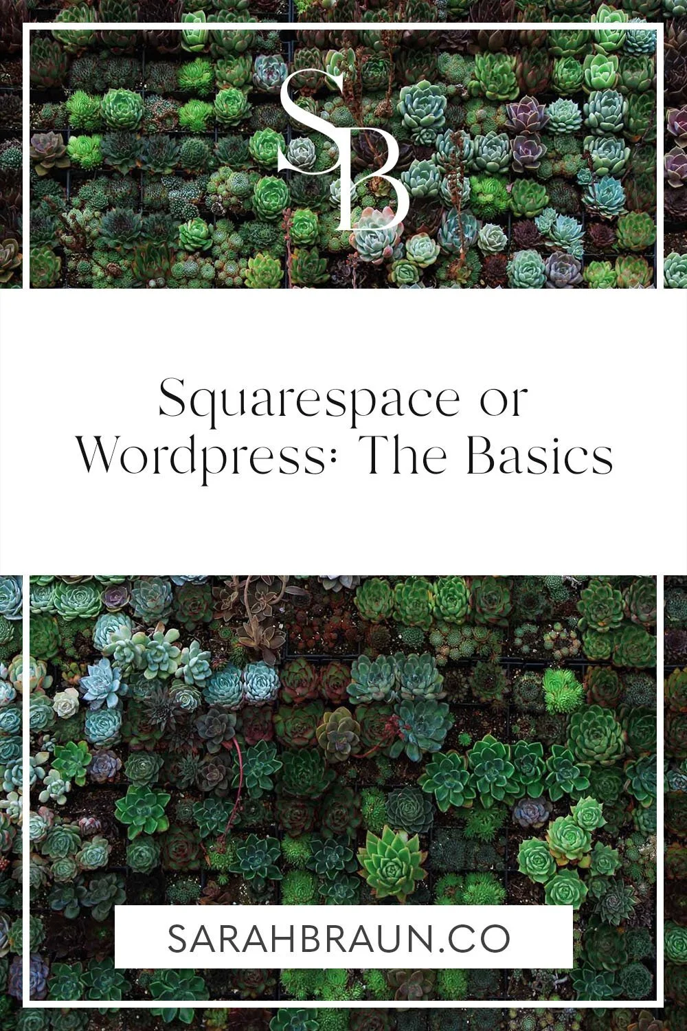 Squarespace or Wordpress: The Basics — Sarah Braun Studio