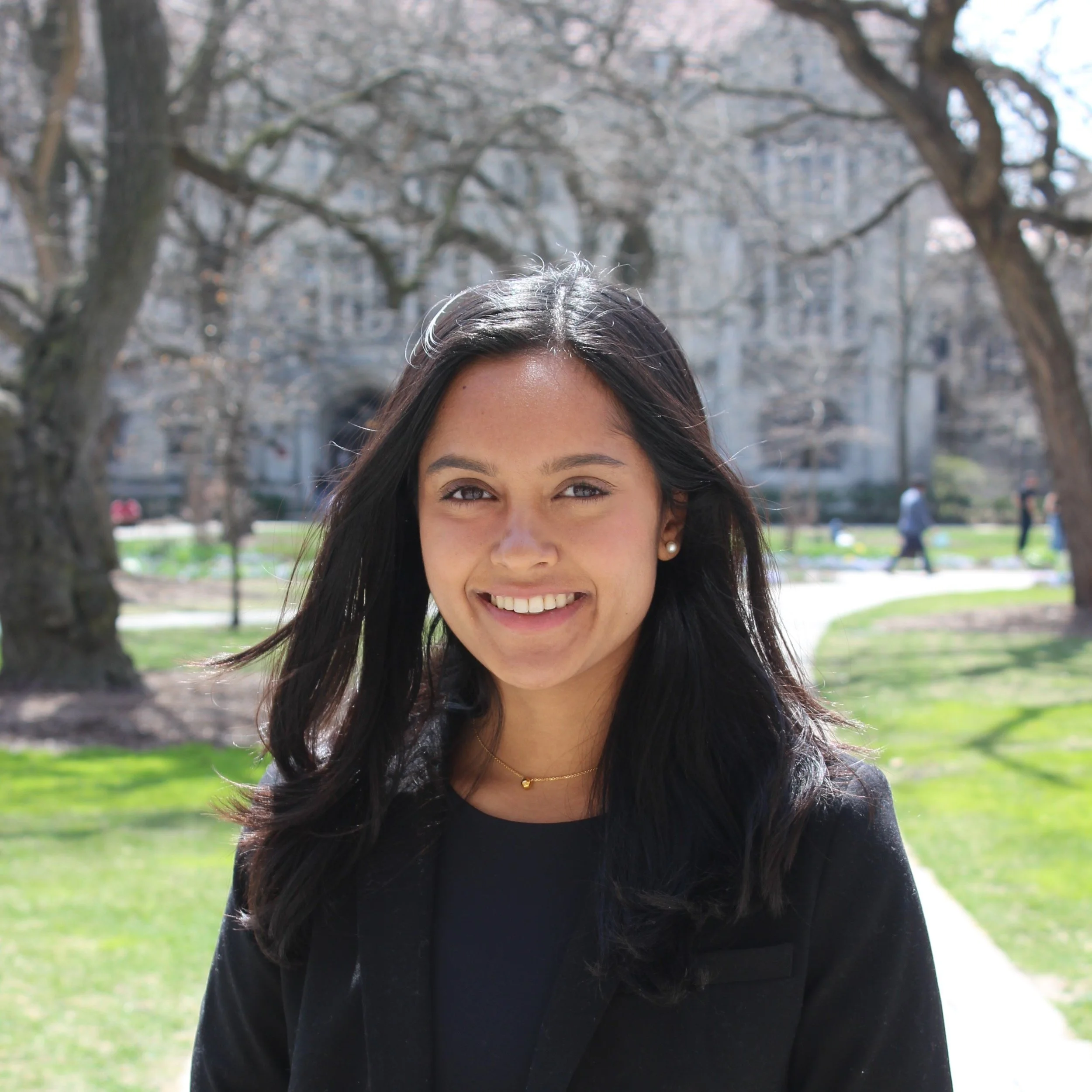 The Board — campusCATALYST