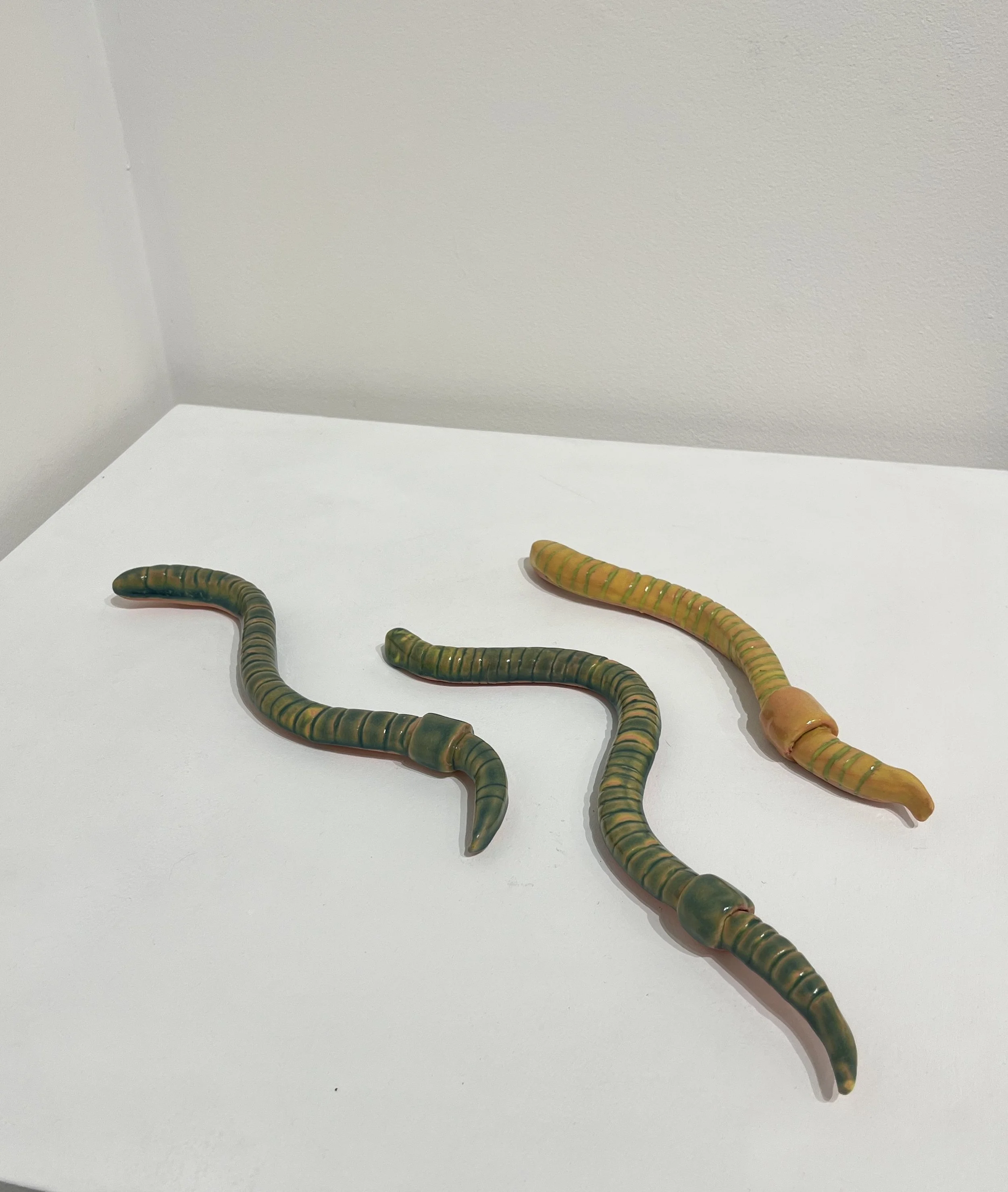 Artists — Julia Martin Gallery