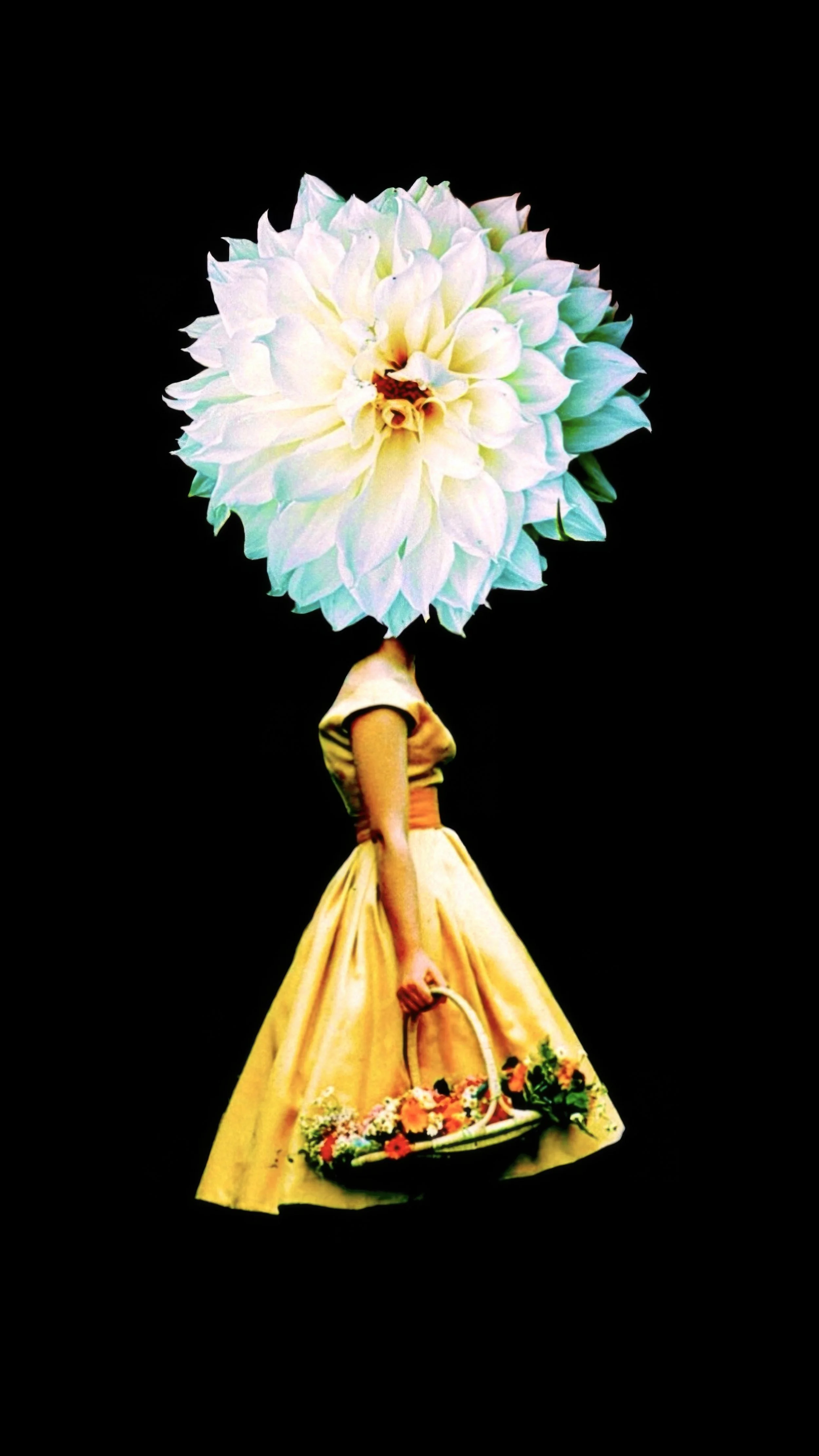 Artists — Julia Martin Gallery