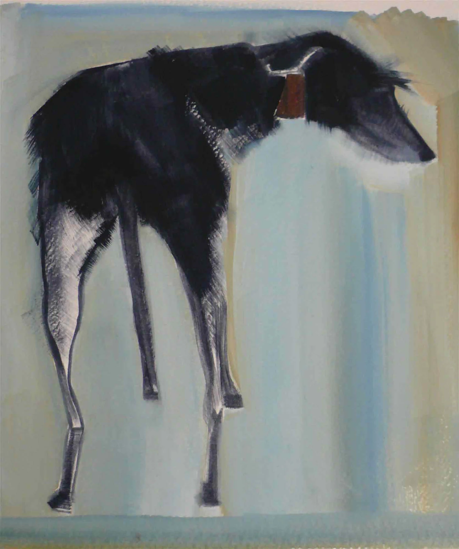 dogs — Sally Muir