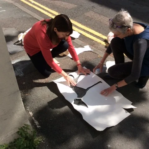 about — Sally Muir