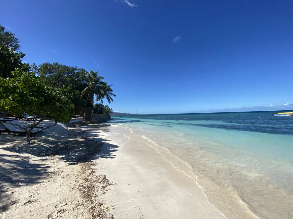 This is the perfect day trip from Puerto Plata - Paradise Island / Cayo ...