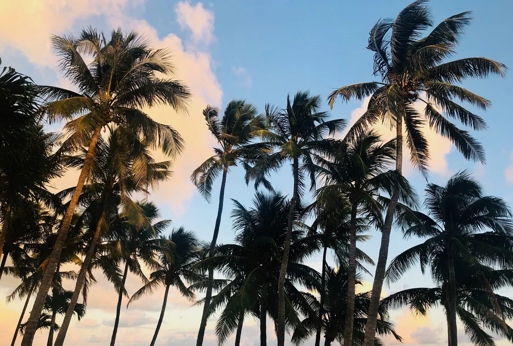 How to travel the Florida Keys- What to do, and where to stay ...