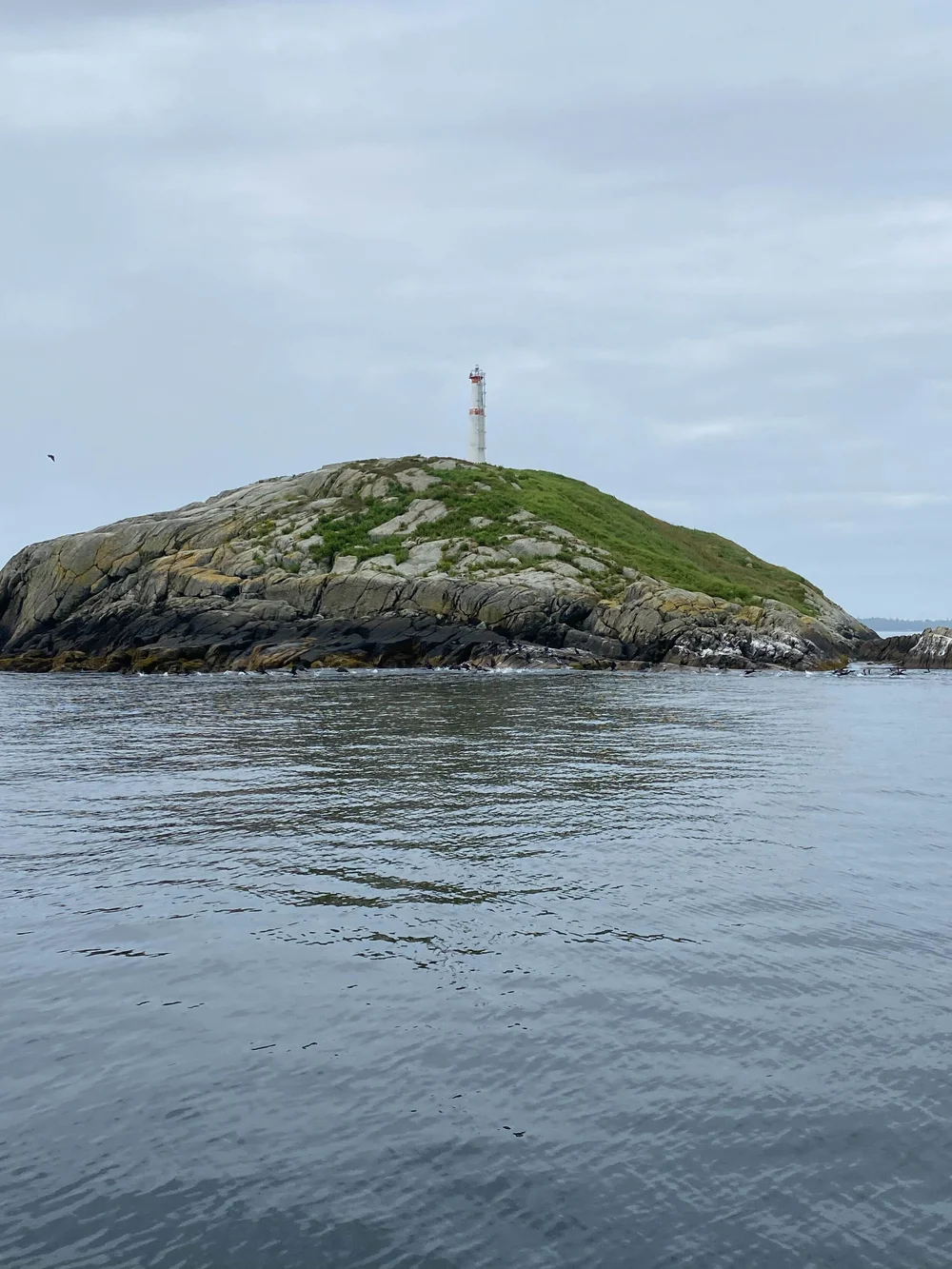 Travel Guide to Nova Scotia's Hidden Gem: The Eastern Shore ...