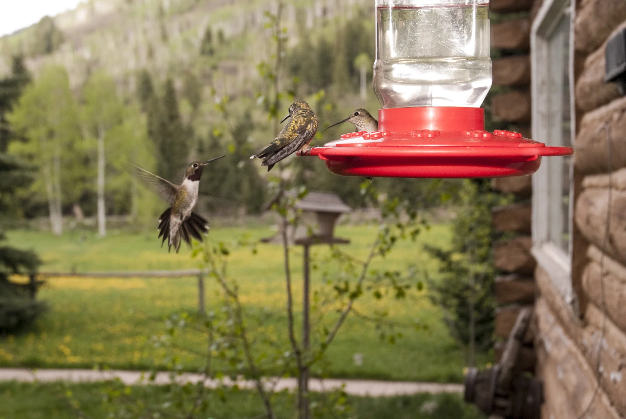 Chair Mountain Ranch